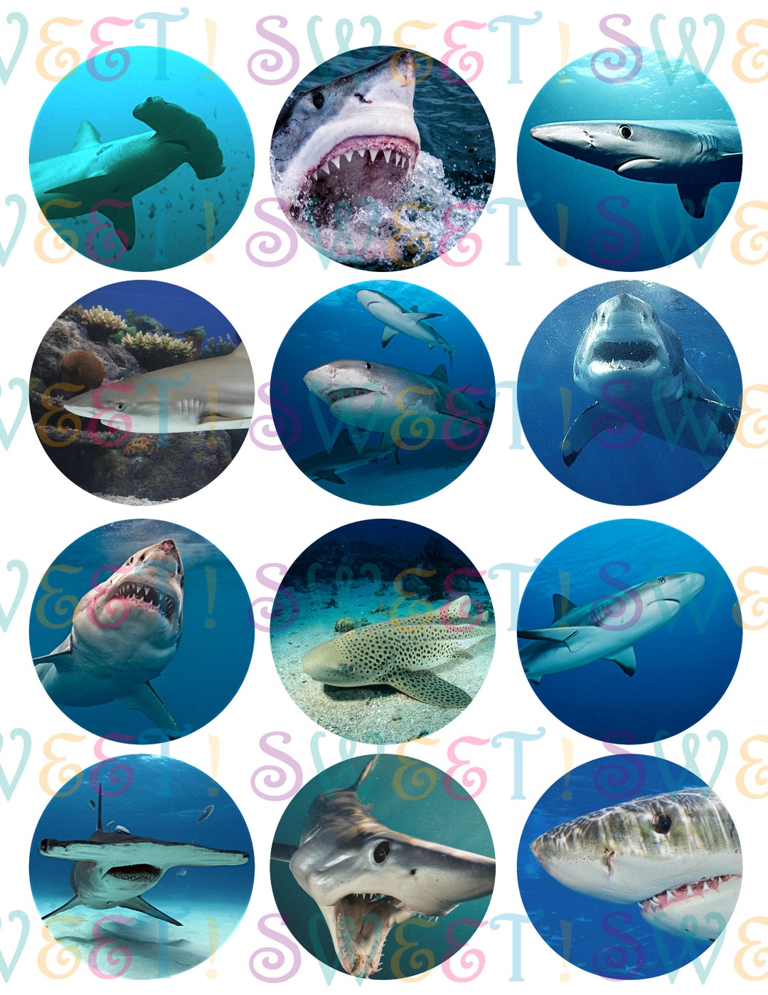 Edible Shark Cupcake, Cookie, Oreo & Drink Toppers Wafer Paper or ...