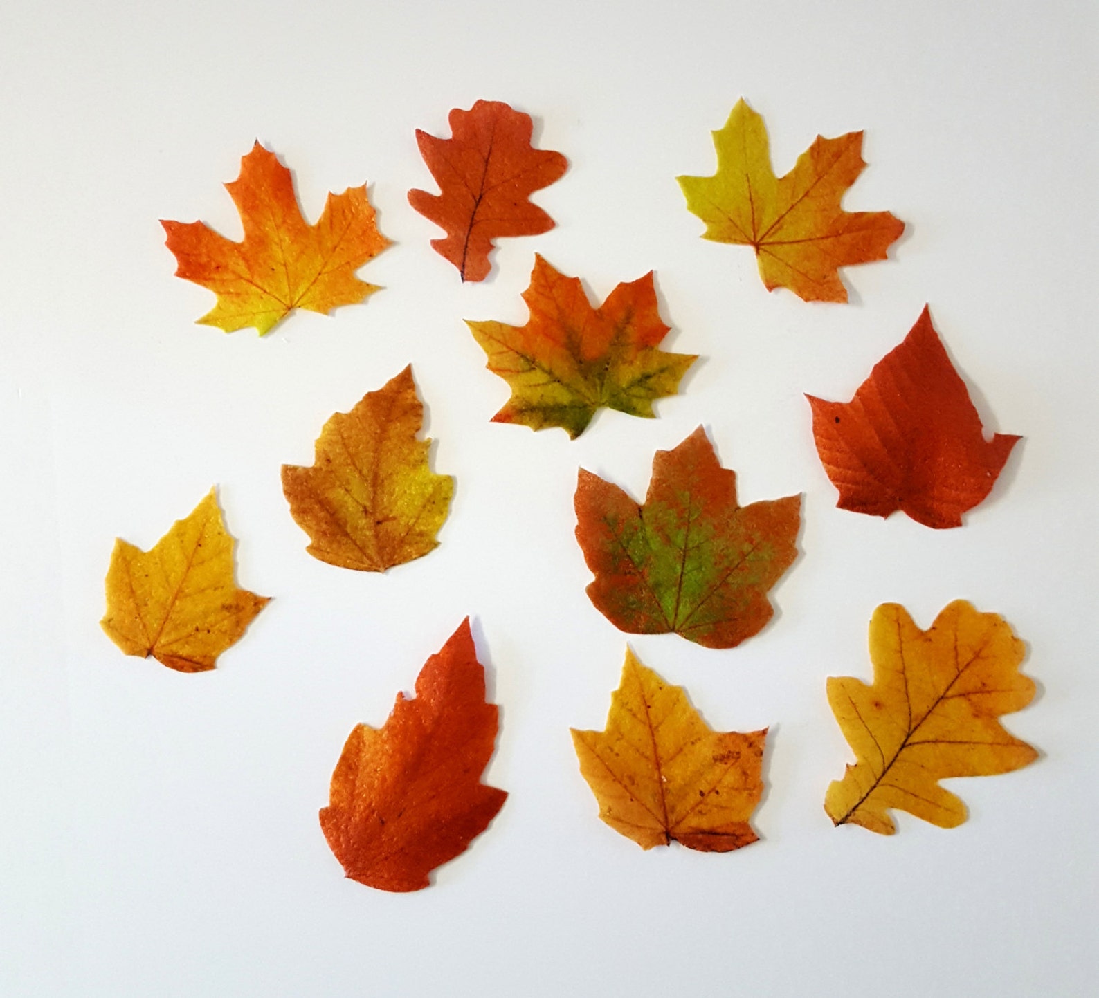 Edible Fall Leaves Double Sided - Etsy