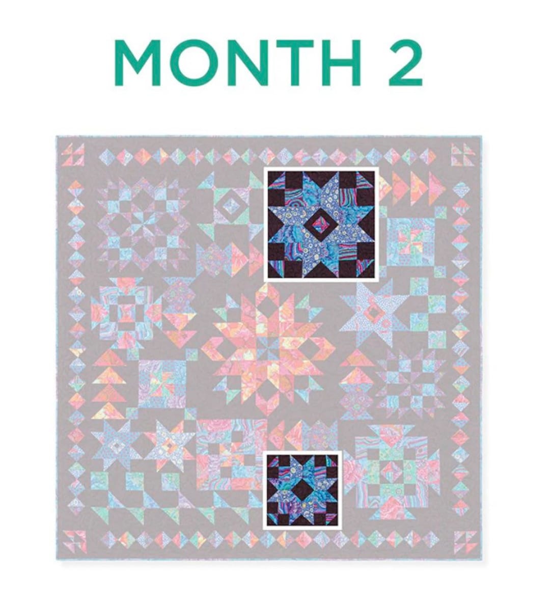 Starlight Block of the Month #2 - Missouri Star Quilt Co. - Kaffe Fassett - Etsy