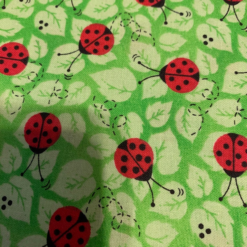 Lady Bug - Etsy