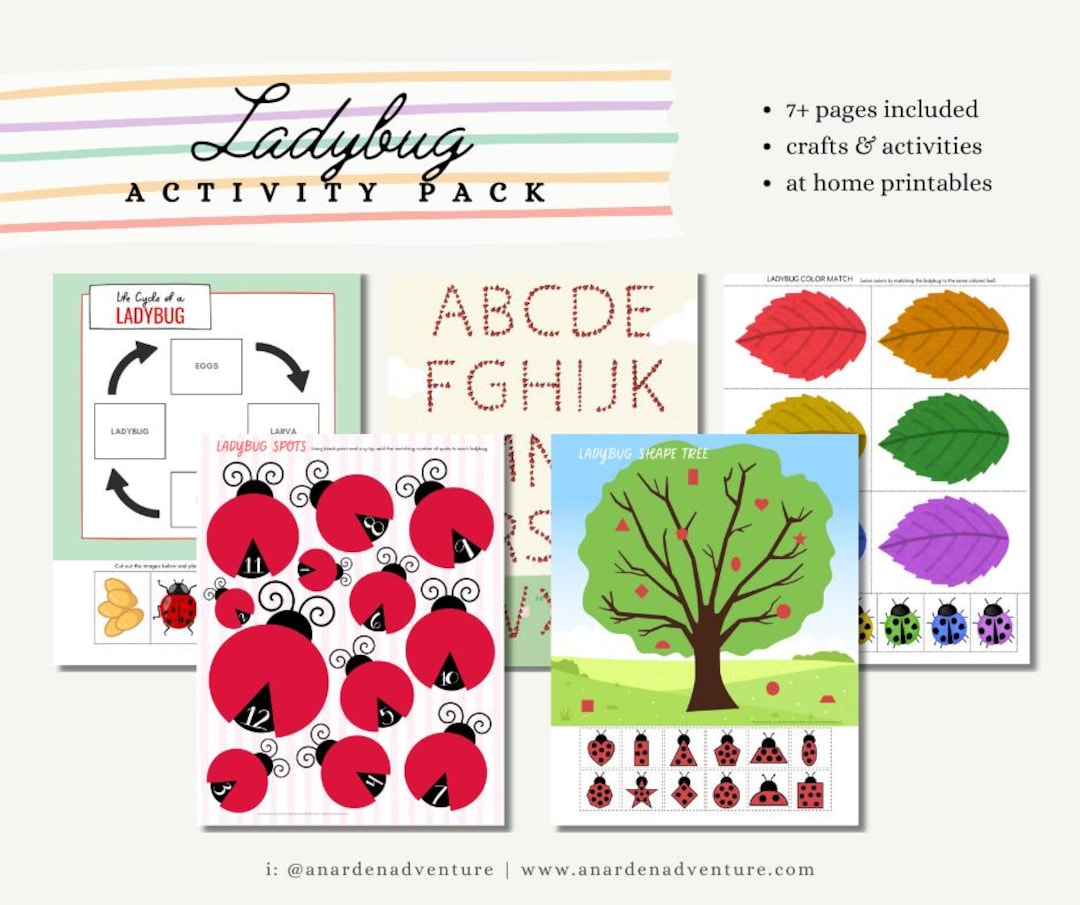 Ladybug Activity Pack • Bugs, Nature, and Life Cycle Homeschool ...