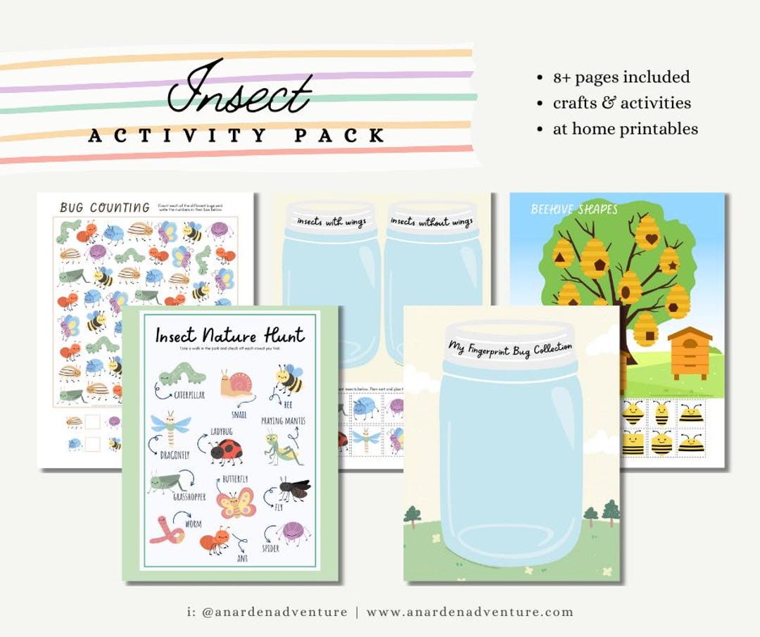 Insect Activity Pack • All About Bugs • Nature Activities for Kids ...