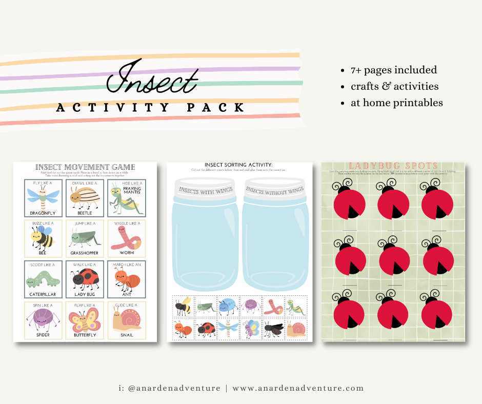 Insect Activity Pack All About Bugs Activities for Kids Bug Printable ...