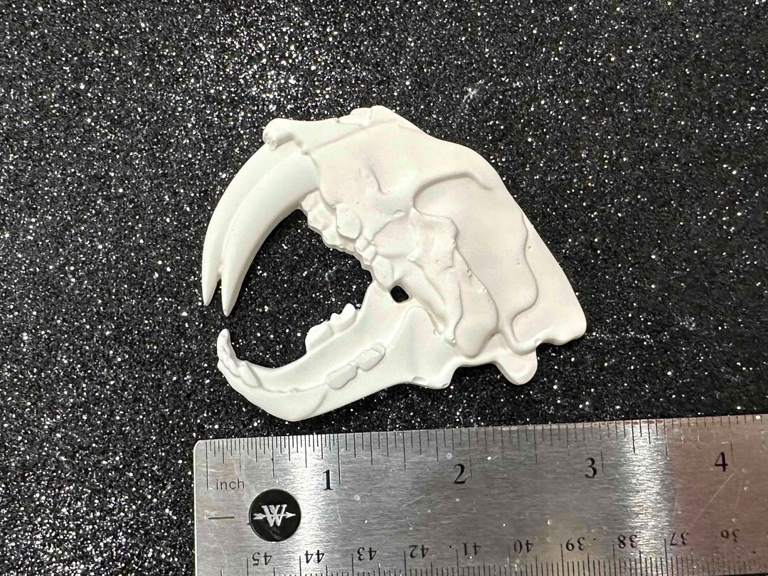 Large Sabertooth Tiger Skull / Paintable Halloween Crafts / Ready to ...