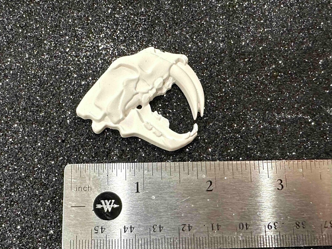 Small Sabertooth Tiger Skull / Paintable Halloween Crafts / Ready to ...