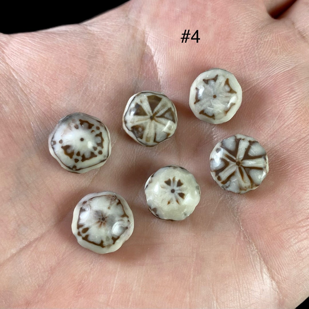 Ultra Rare Polished Crinoid Fossils Cabochon Lot/ 6 Pieces - Etsy