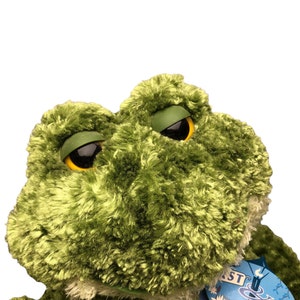 First & Main Froggle Woggle the Frog 11” Sitting Green Frog Rattler ...