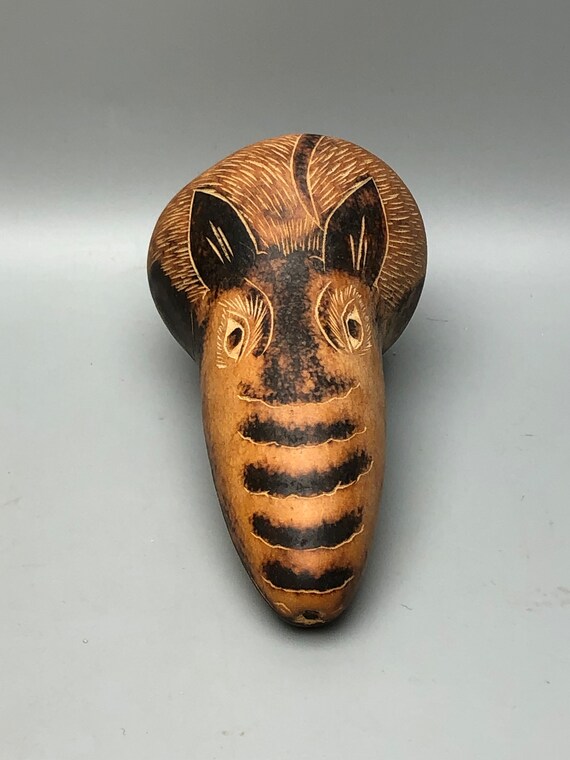 Zebra Gourd