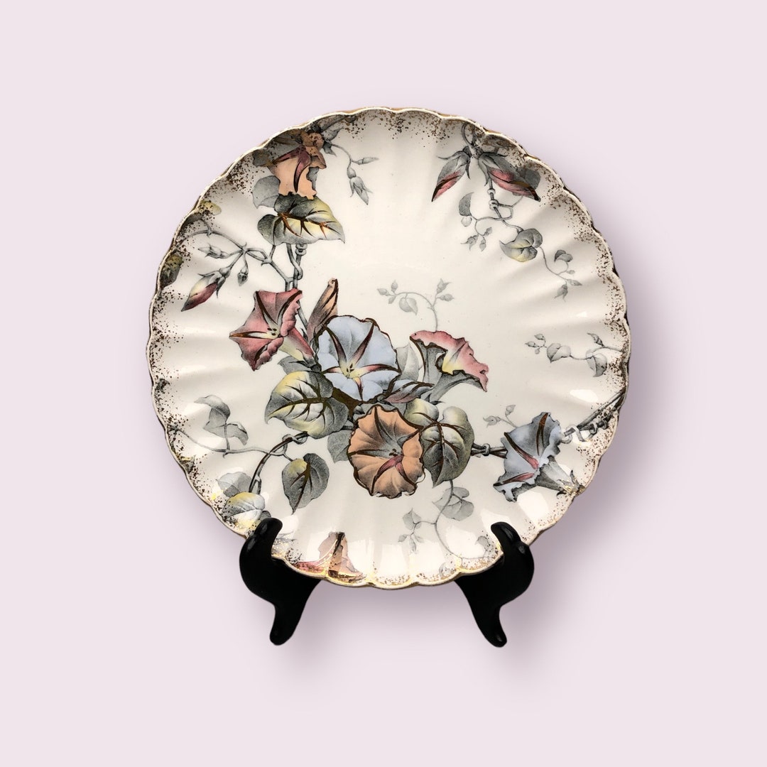 RARE Antique Early 1900 Brown Westhead Moore & Co. Cauldon Ware Floral ...