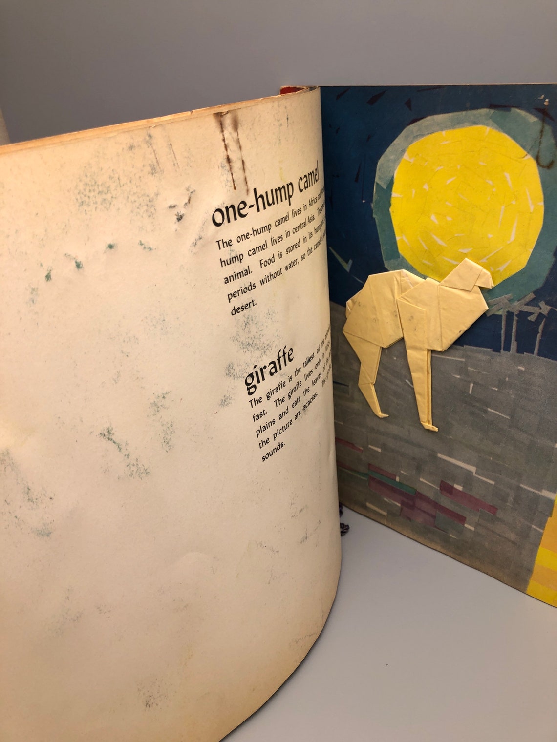 Rare 1961 Origami Zoo Animal Book & Samples Published by Toto | Etsy