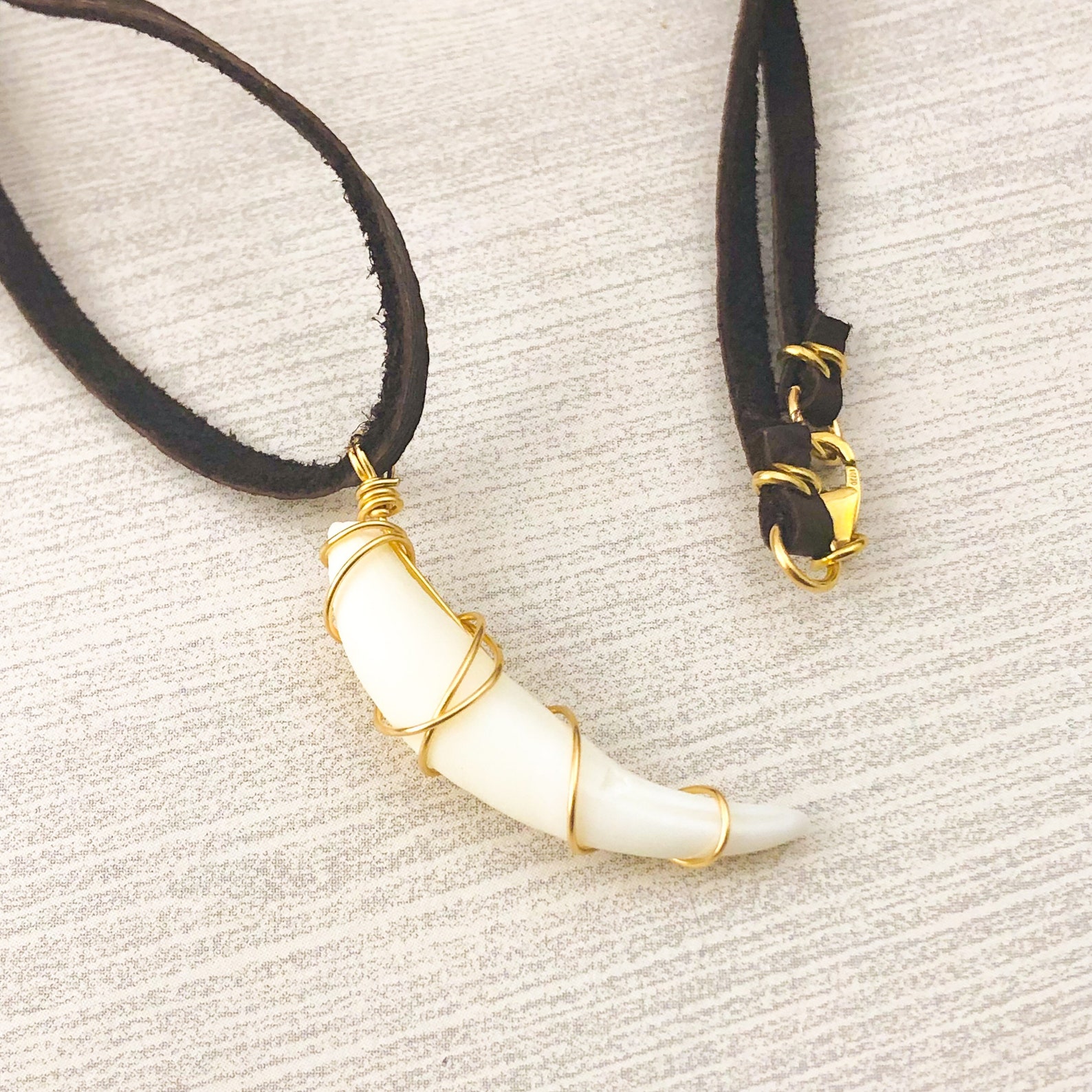 Bobcat Jewelry Cat Tooth Necklace Oddities & - Etsy