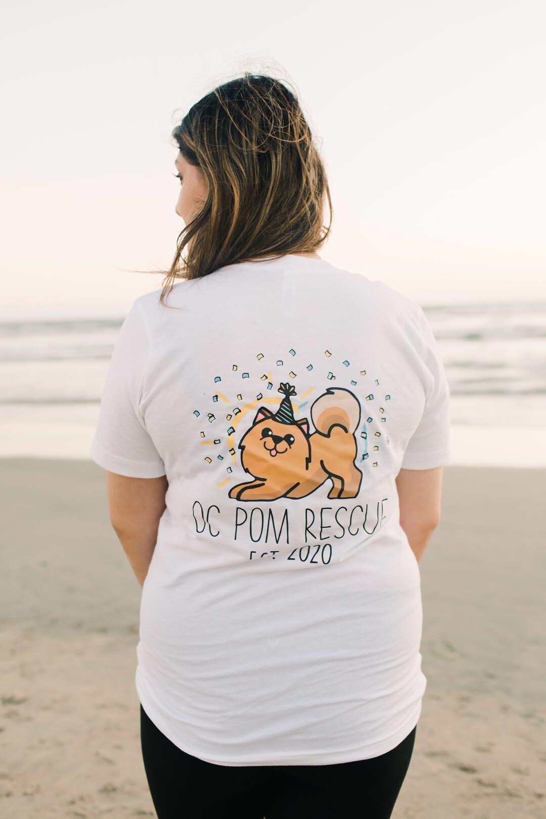 OC Pom Rescue Birthday Bash T-shirt - Etsy