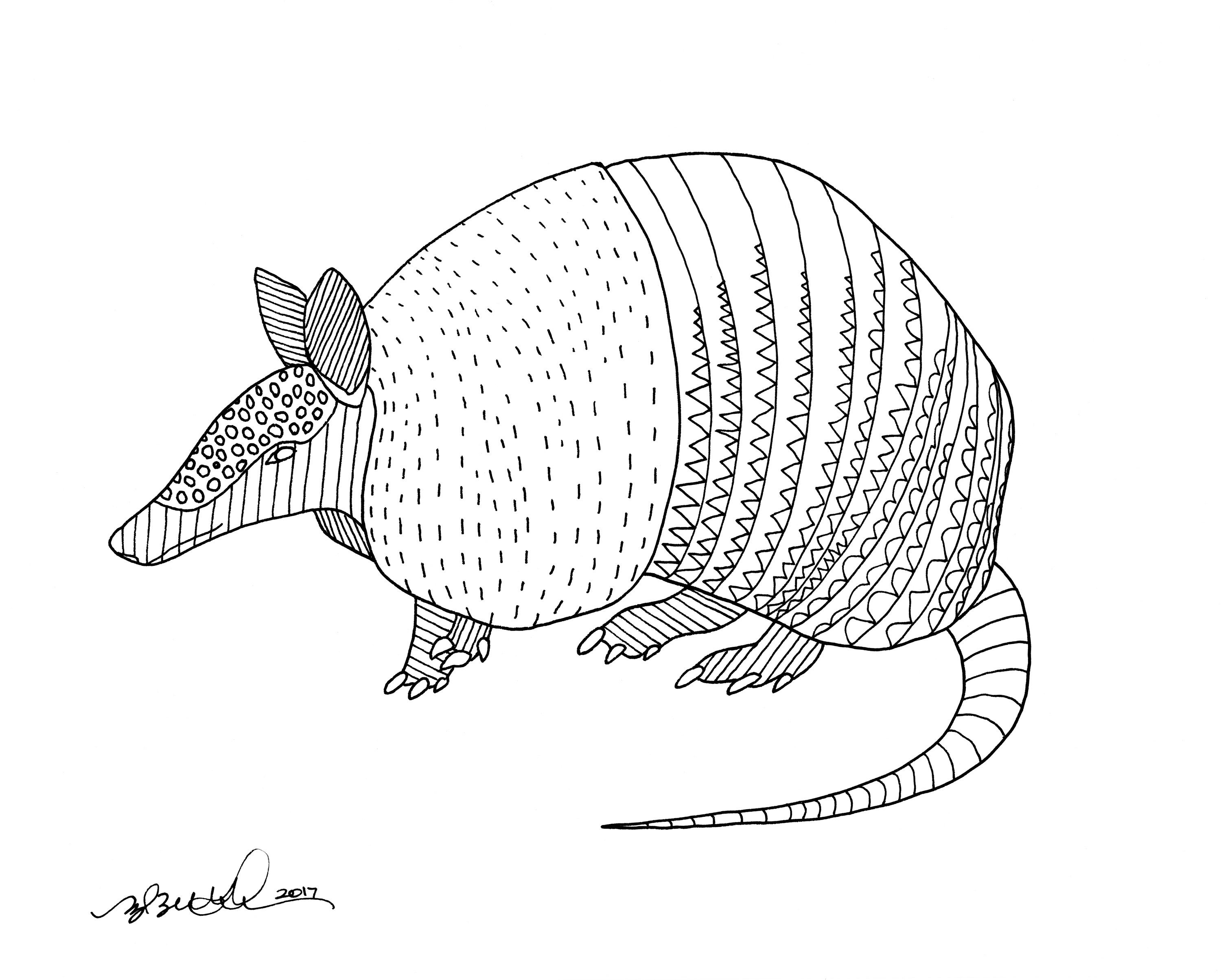 Armadillo Ball Drawing