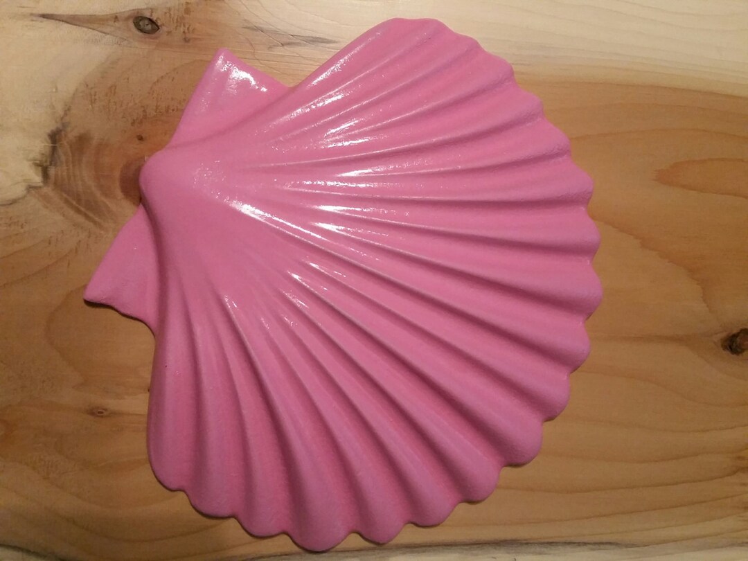 Pink Wall Decor, Scallop Shell, Summer Decor, Beach Decor - Etsy