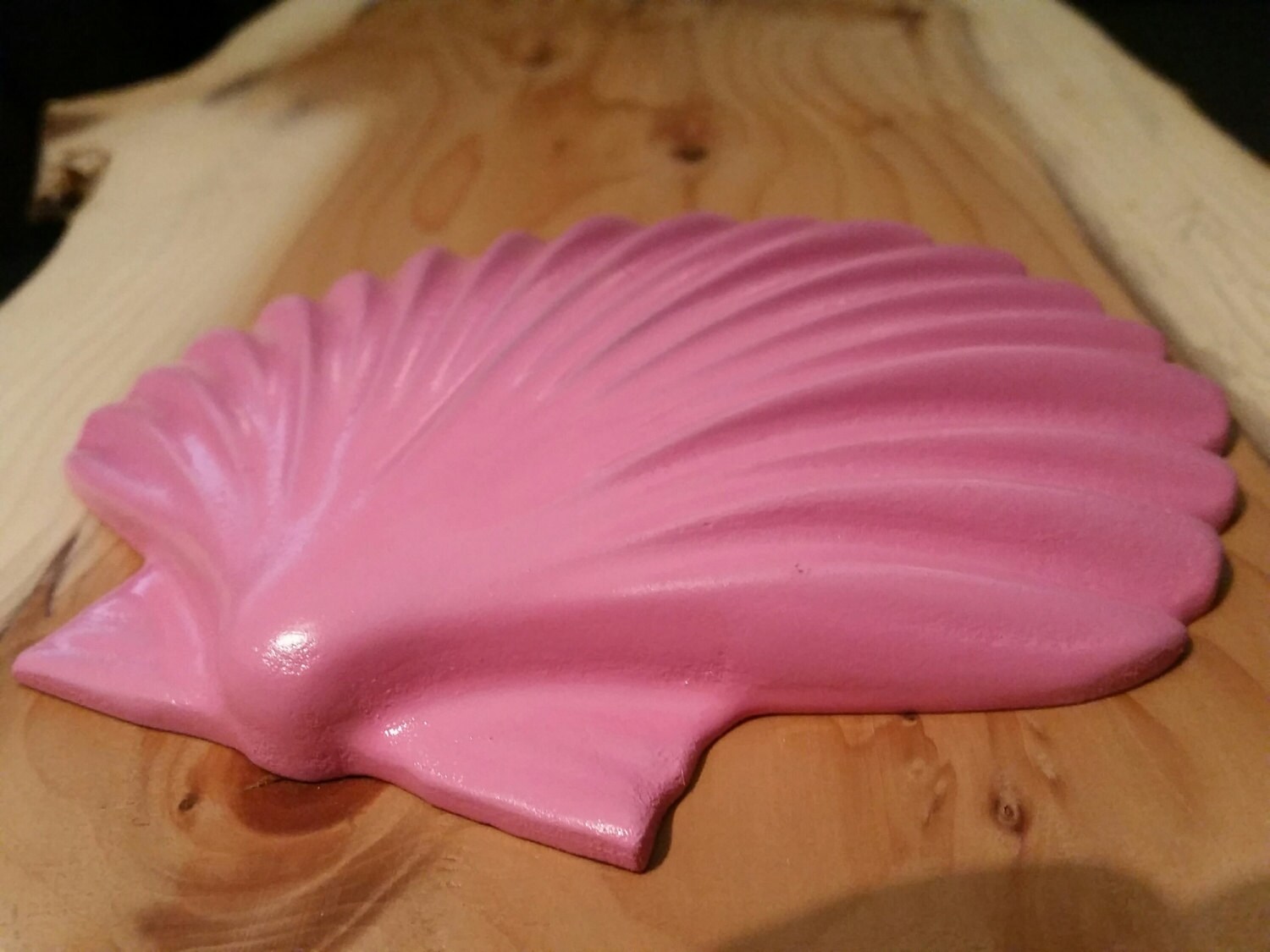 Pink Wall Decor, Scallop Shell, Summer Decor, Beach Decor - Etsy