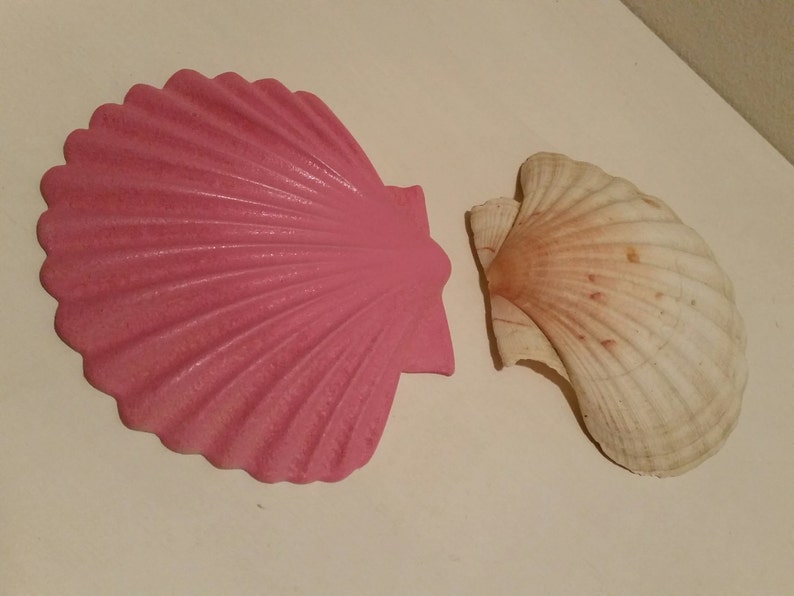 Pink Wall Decor, Scallop Shell, Summer Decor, Beach Decor - Etsy