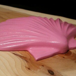 Pink Wall Decor, Scallop Shell, Summer Decor, Beach Decor - Etsy