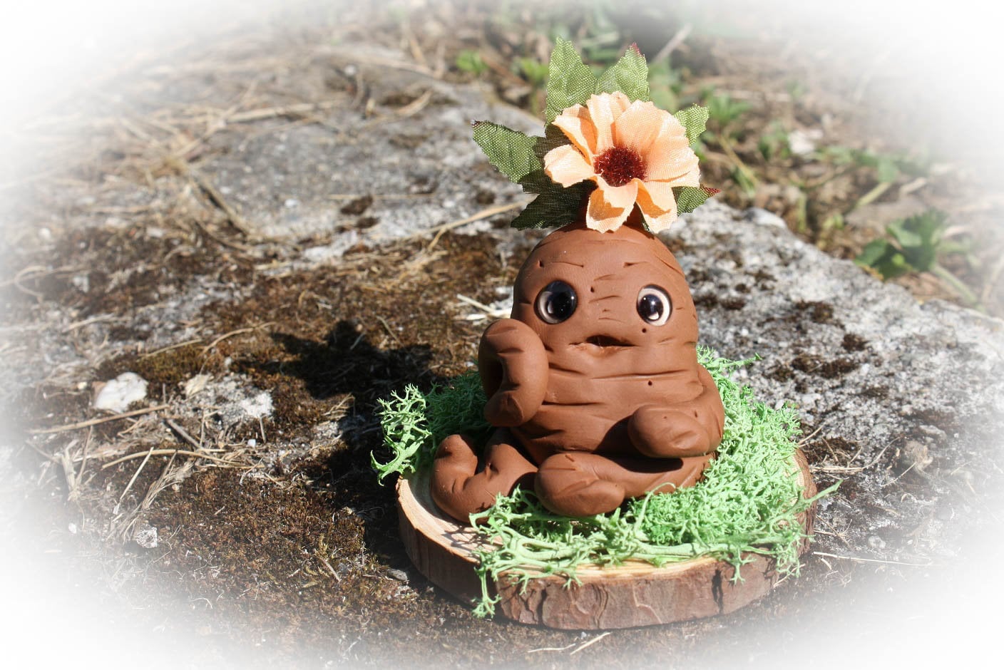 Magical Plant Mandragola