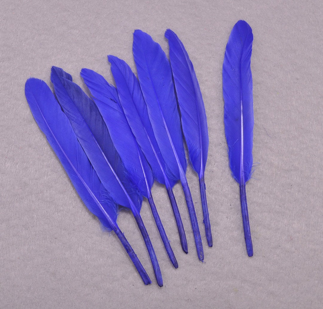 Feathers,blue Duck Feathers, 50pcs Blue Craft Feathers, Loose Feathers ...