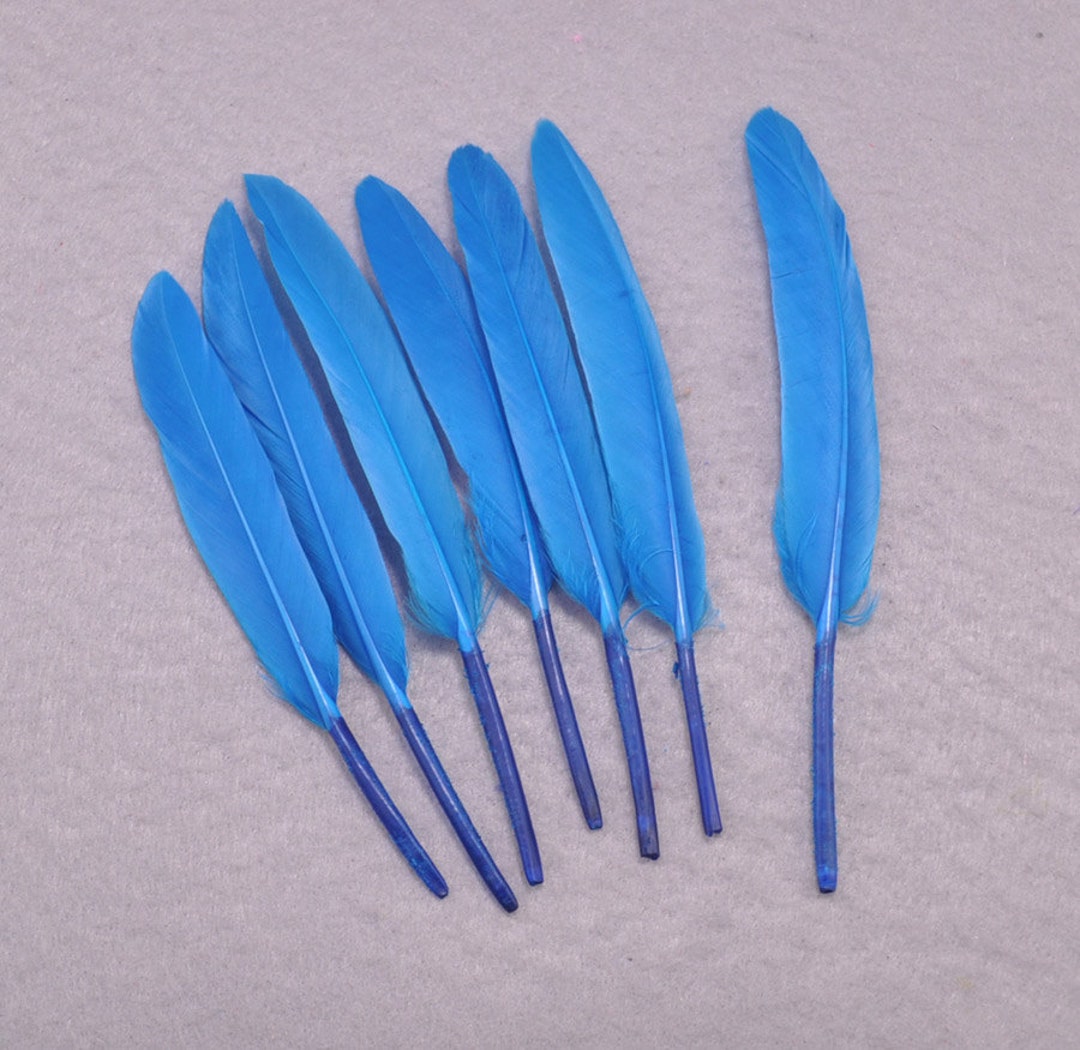 Feathers,light Blue Duck Feathers, 100pcs Light Blue Craft Feathers ...