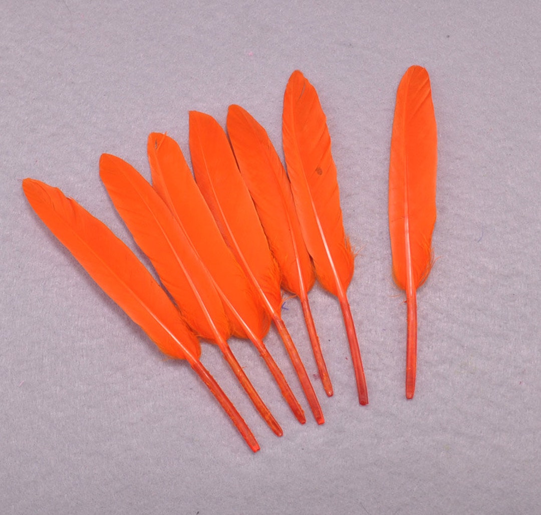 Feathers,orange Duck Feathers, 50pcs Orange Craft Feathers, Loose ...