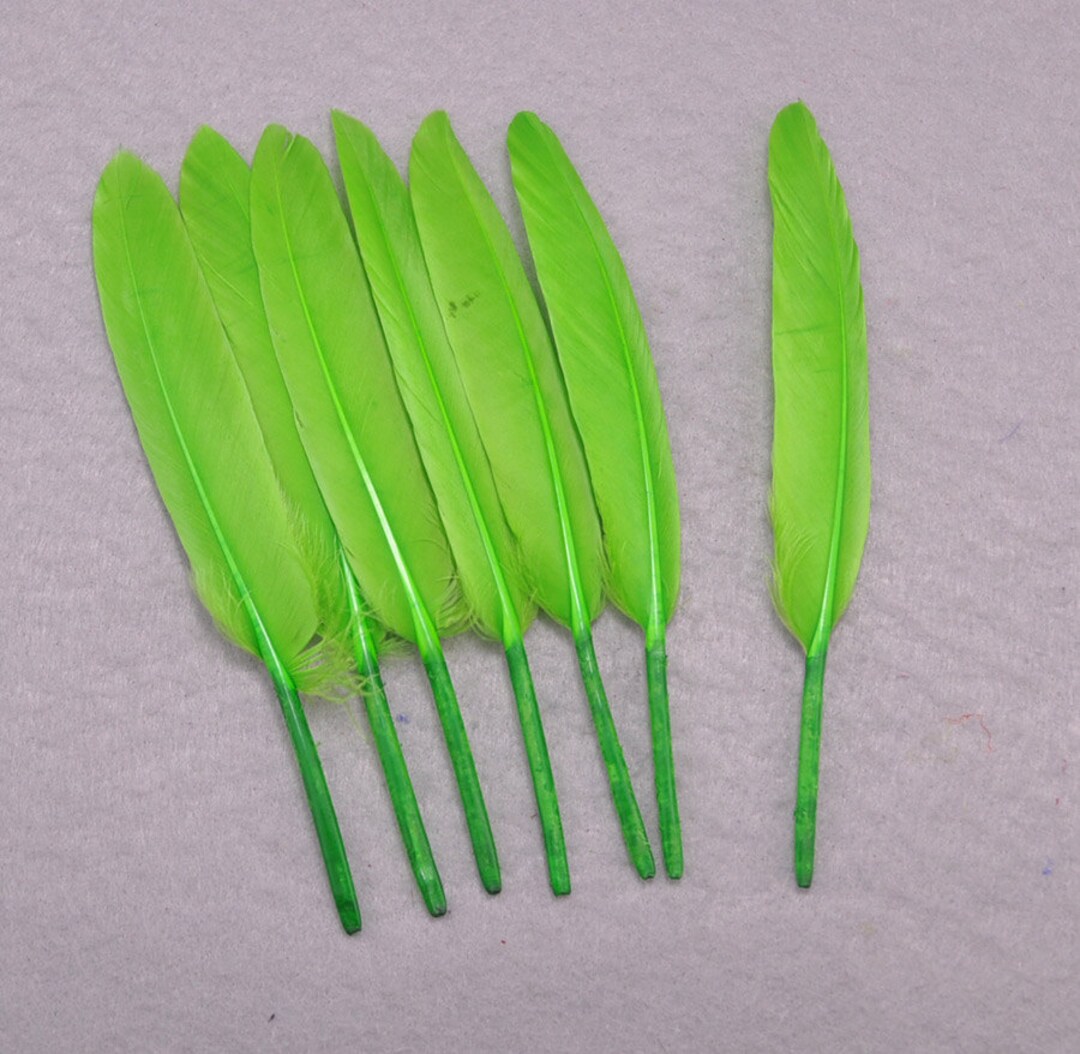 Feathers,green Duck Feathers, 50pcs Green Craft Feathers, Loose ...