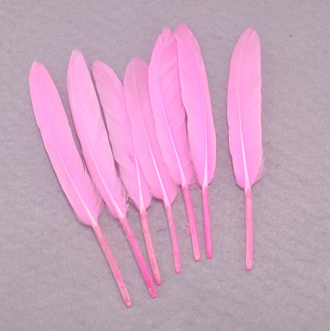 Feathers,pink Duck Feathers,100pcs Pink Craft Feathers, Loose Feathers ...