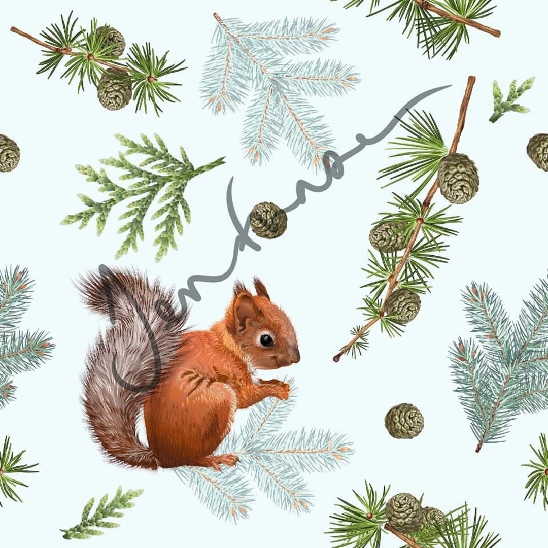 Christmas Fabric, Squirrels, Squirrel, Cotton Elastane, Cotton Spandex ...