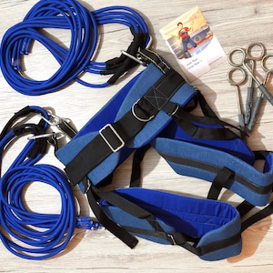 Bungee Jumping and Home Bungee for Kids 5-14 Years, Swing, Slide, Baby ...