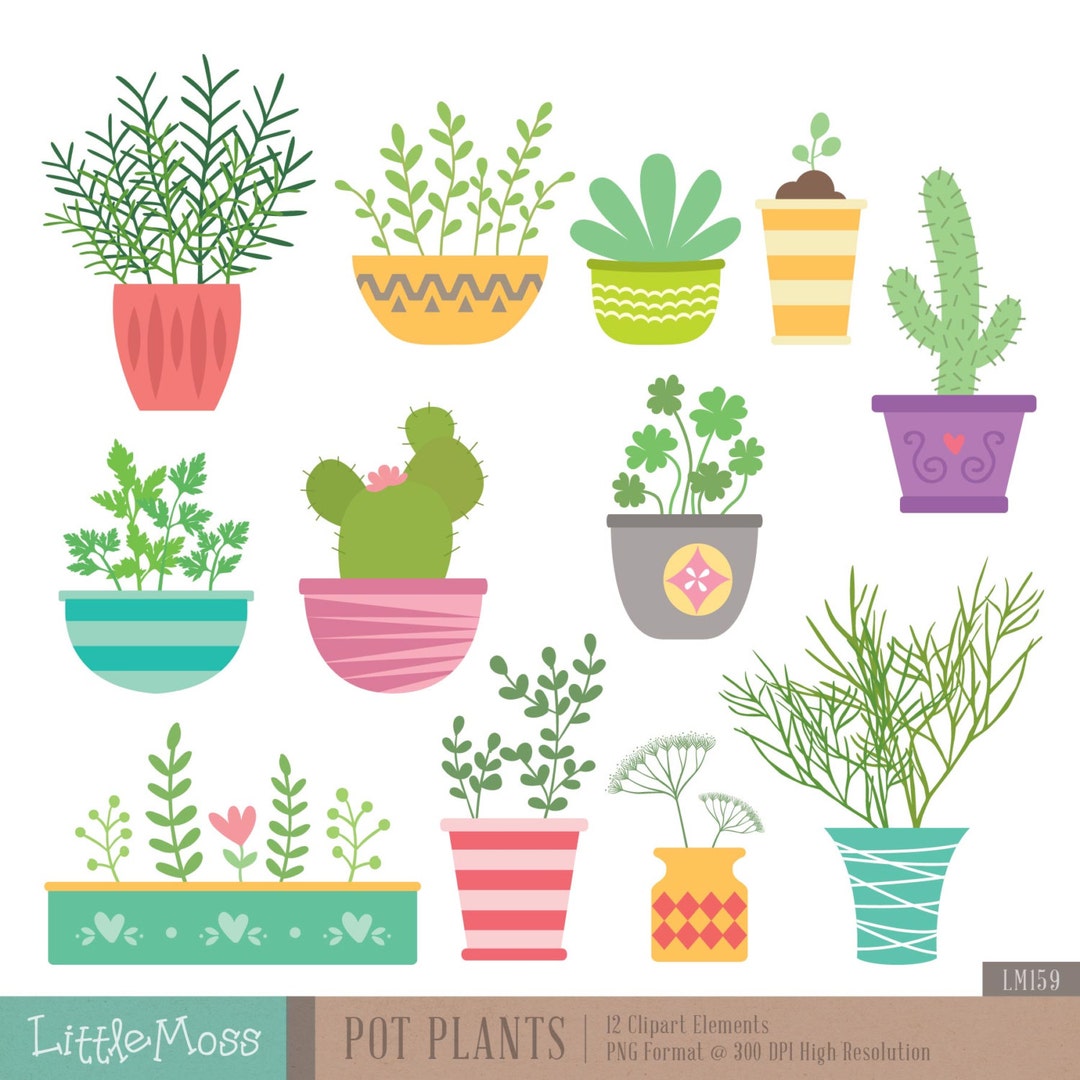 Pot Plants Digital Clipart - Etsy