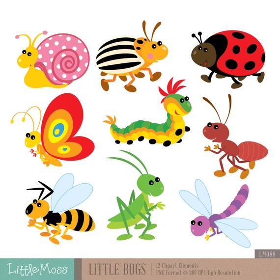 Insect Clipart For Kids