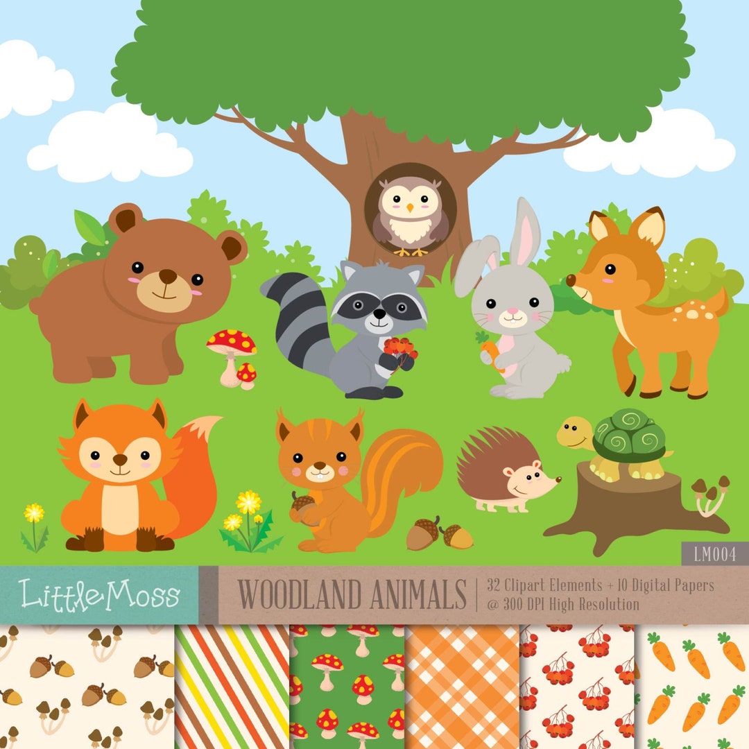 Woodland Animals Digital Clipart and Papers - Etsy