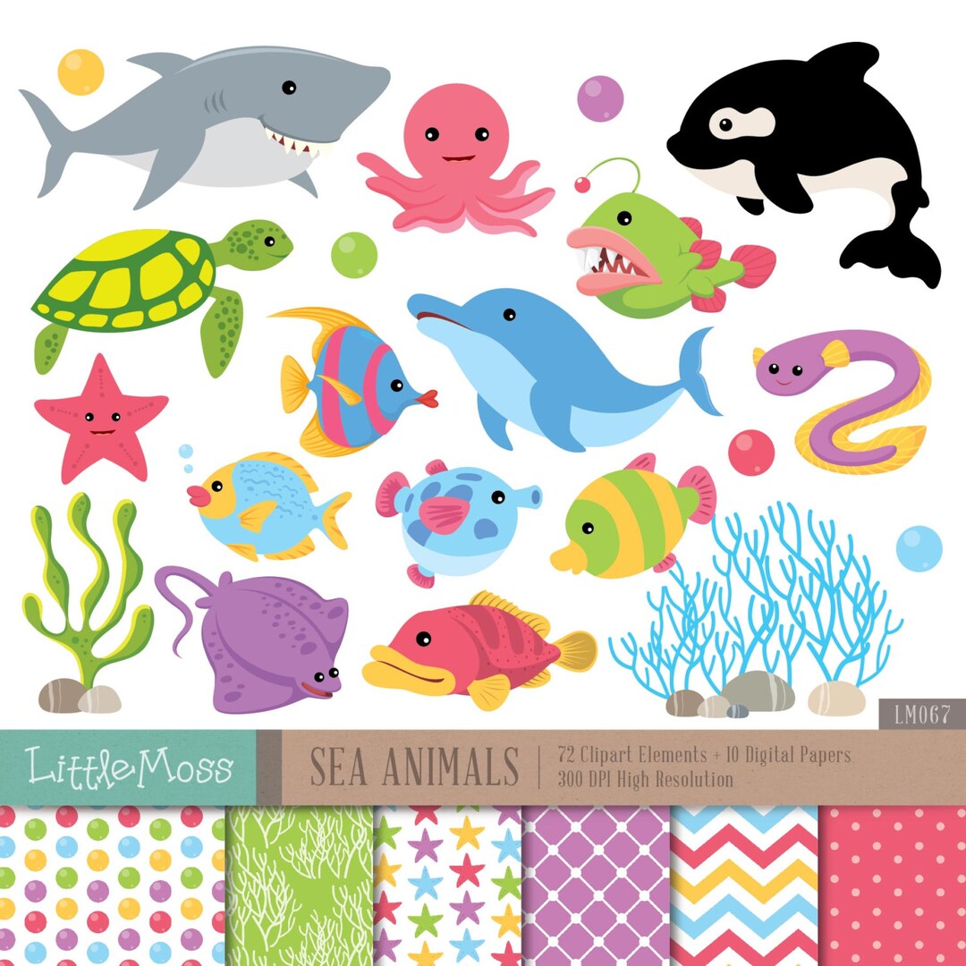 Sea Animals Digital Clipart and Papers, Under the Sea Clipart, Whale ...