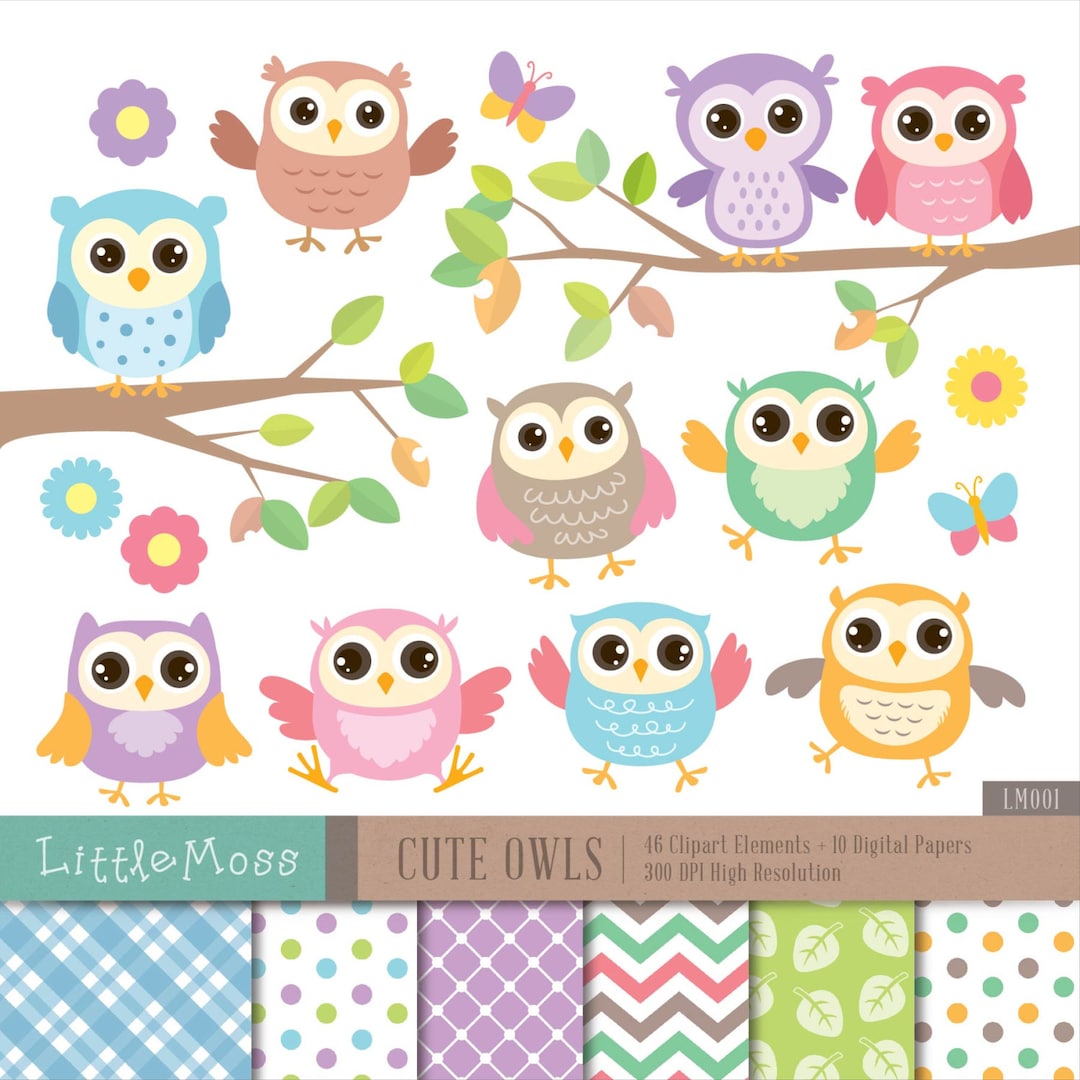 Cute Owls Digital Clipart and Papers - Etsy
