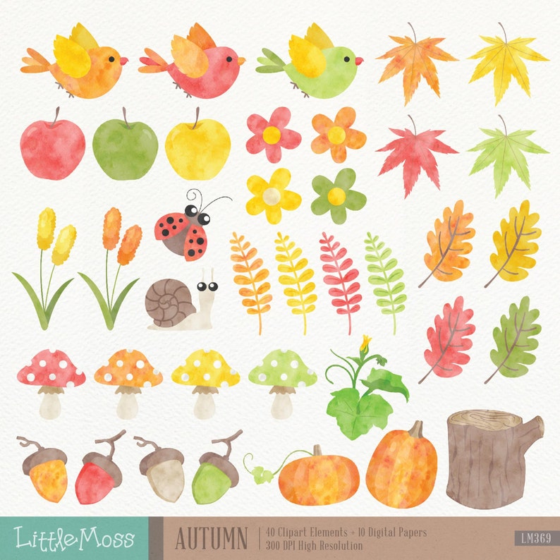 Autumn Digital Clipart and Papers Watercolor Autumn Clipart - Etsy