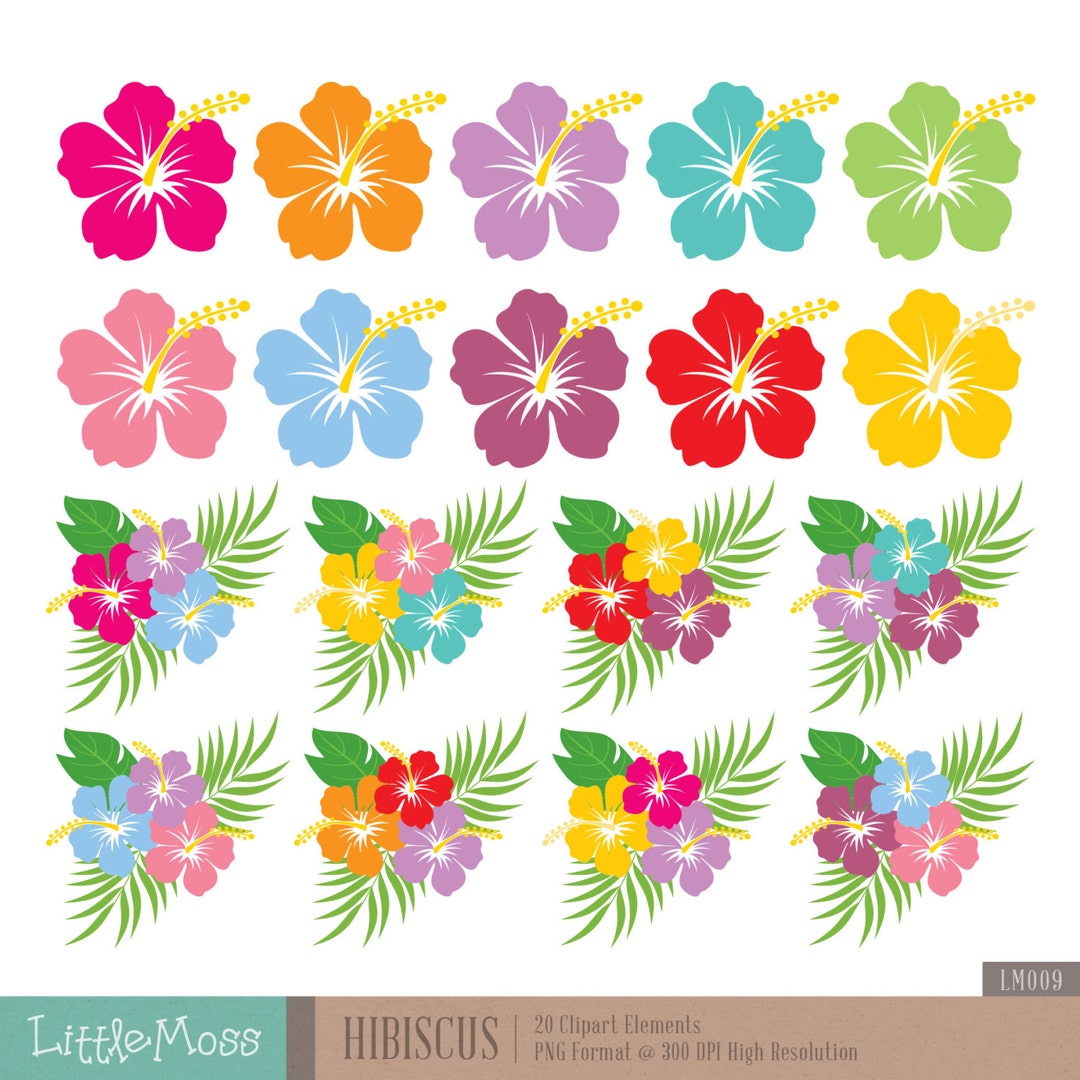 Hibiscus Digital Clipart, Hawaiian Flower Clipart - Etsy