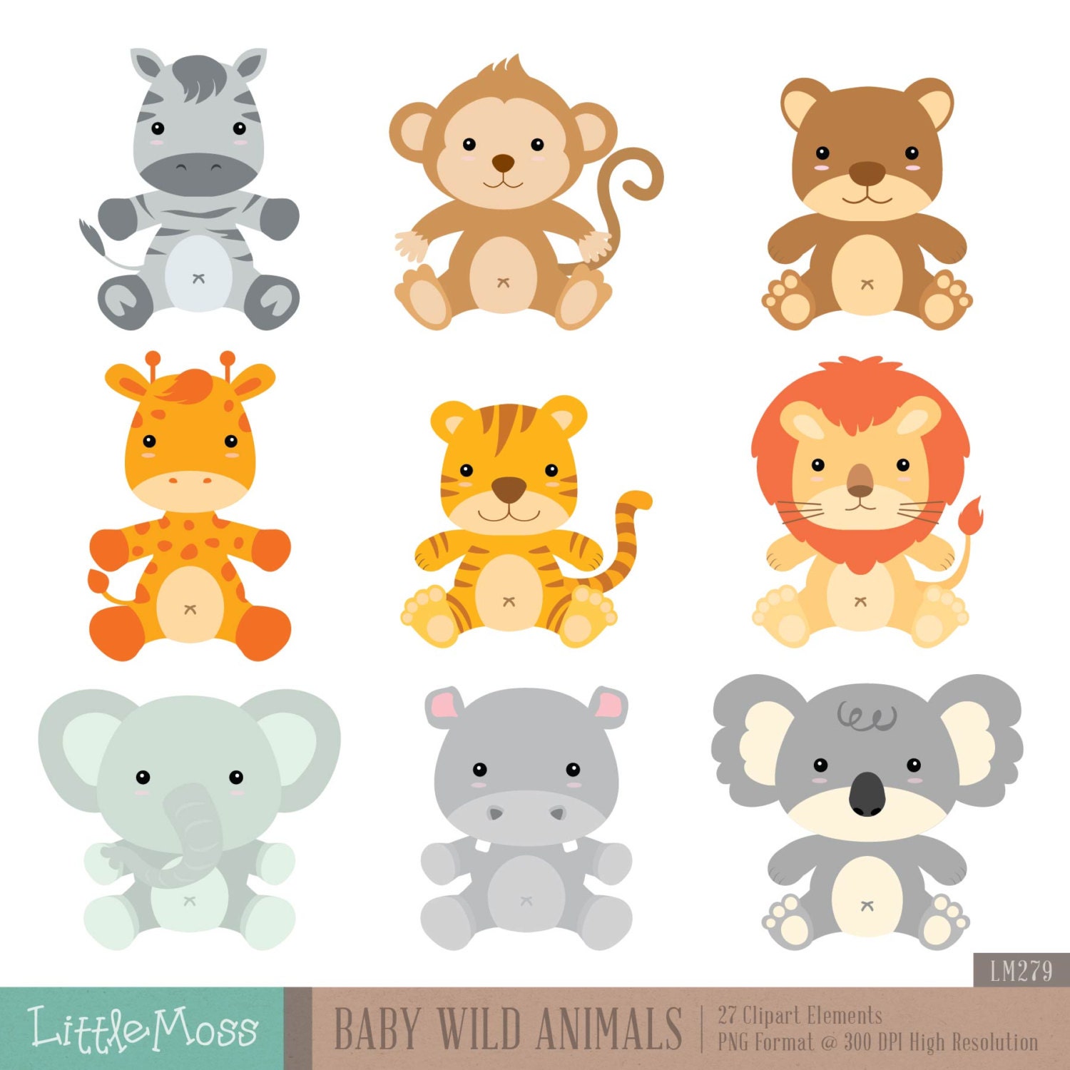 Baby Wild Animals Pictures