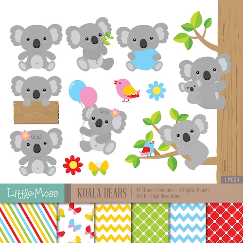 Koala Clipart Koala Bear Clip Art and Digital Paper Set - Etsy