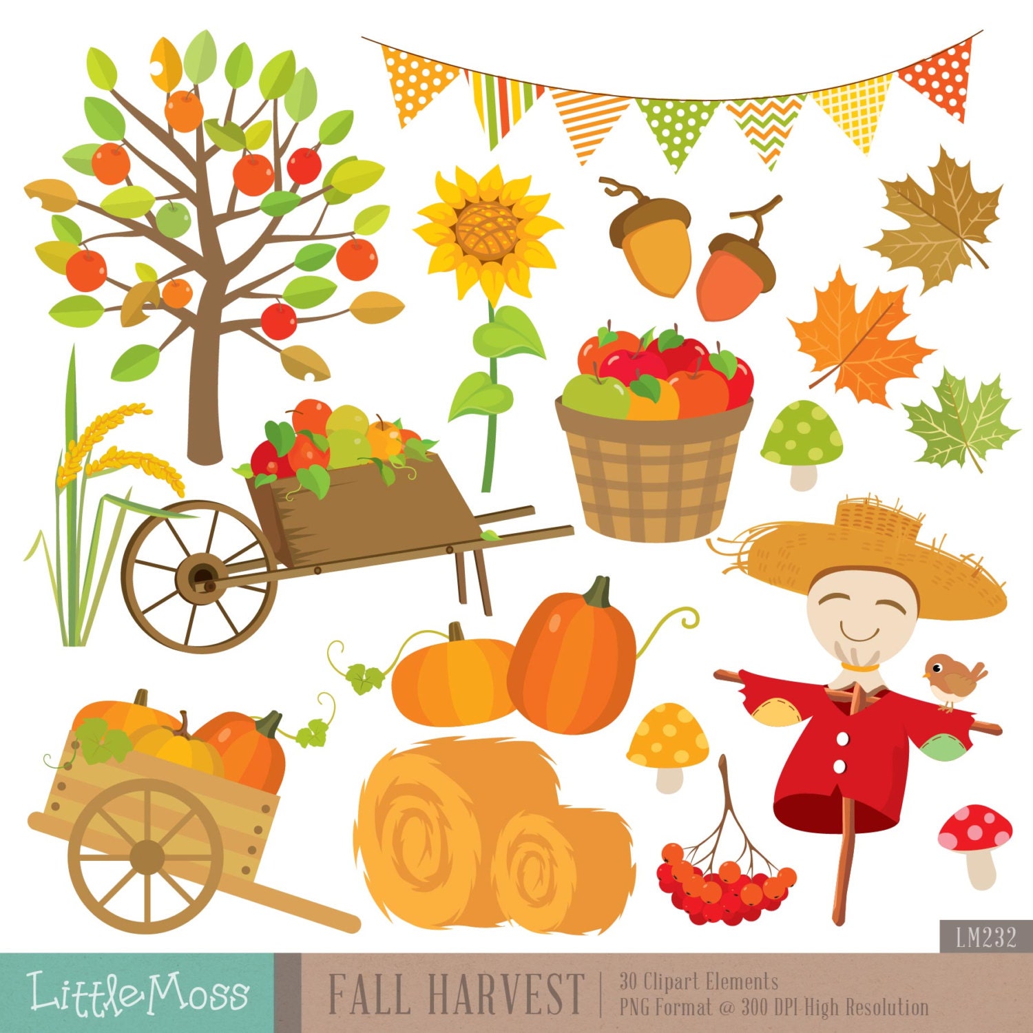 Fall Harvest Digital Clipart - Etsy