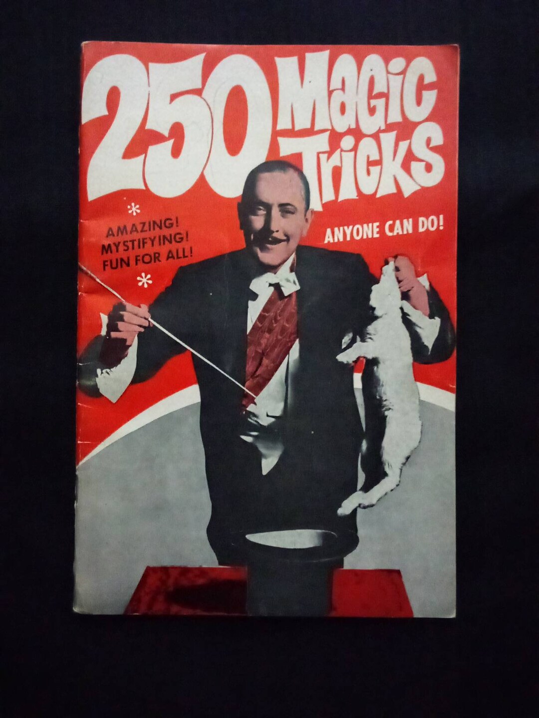 250 Magic Tricks Anyone Can Do! Vintage Magic Tricks Instructional Book ...