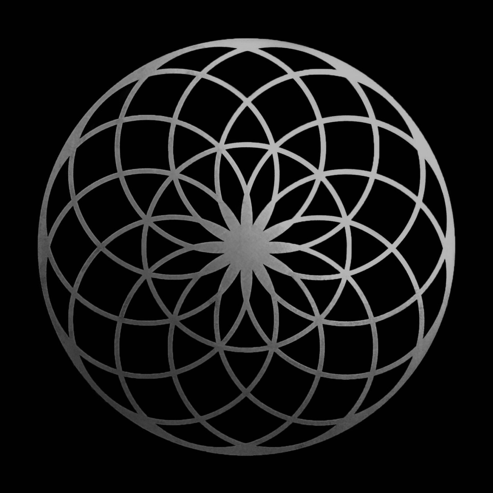 Torus Wall Art - Etsy