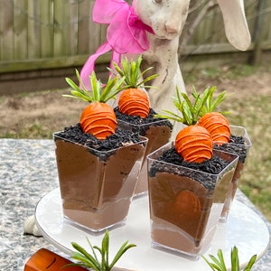 Fake Pudding Cups, Fake Parfait, Dirt Cups for Easter - Etsy