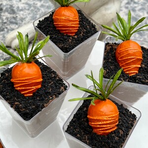 Fake Pudding Cups, Fake Parfait, Dirt Cups for Easter - Etsy