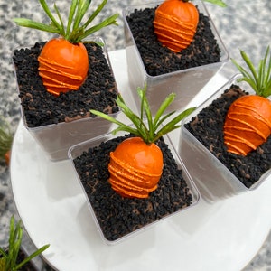 Fake Pudding Cups, Fake Parfait, Dirt Cups for Easter - Etsy