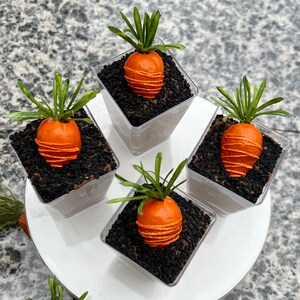 Fake Pudding Cups, Fake Parfait, Dirt Cups for Easter - Etsy