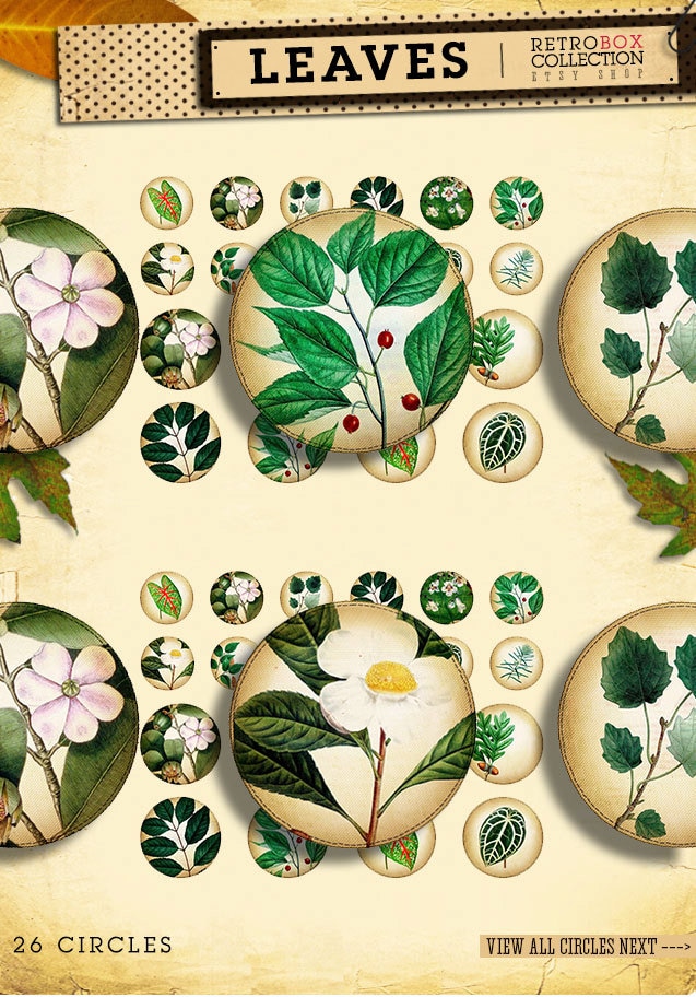 Leaves Botanical Circles 3 Sizes Leaf in 1 Sheet Vintage Nature 26 ...