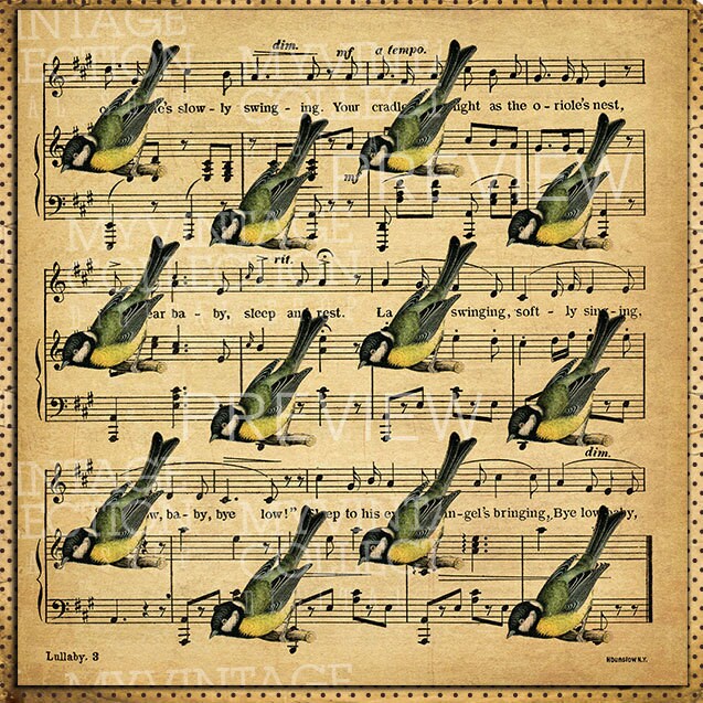 Sing Birds Digital Paper Vintage Music Sheet 12 Digital Papers Pack ...