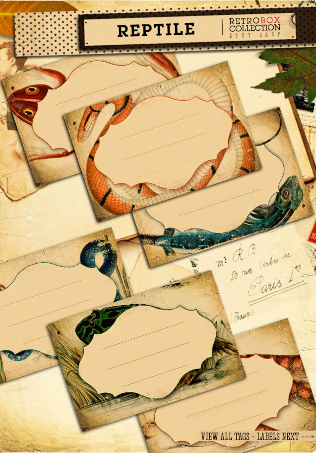 Archival Reptile Labels Vintage - 18 Labels Digital Tags Printable ...