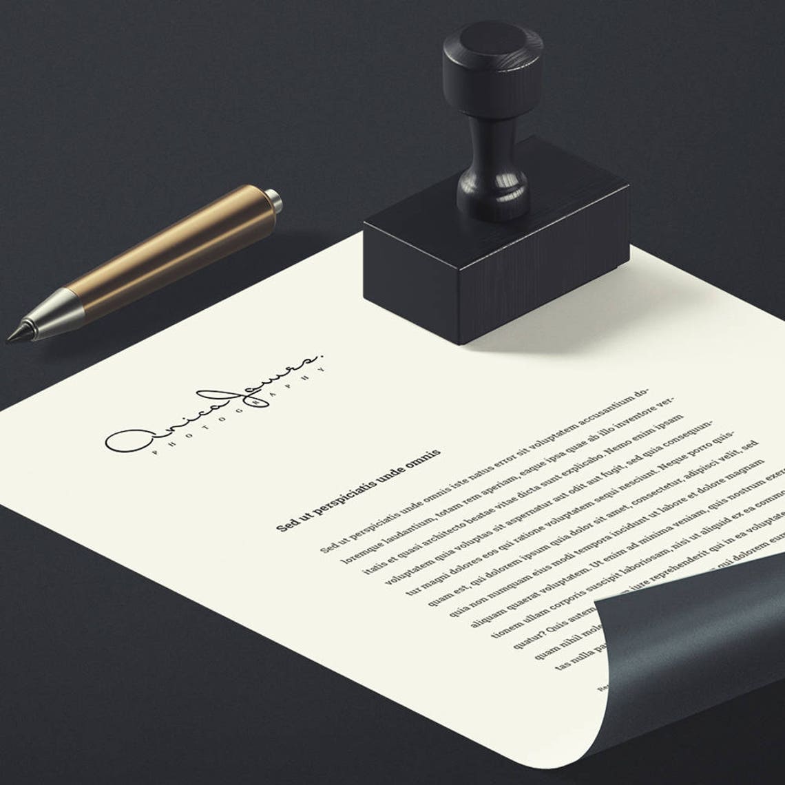 Script Logo Design Calligraphy Logo Signature Logo Classic - Etsy