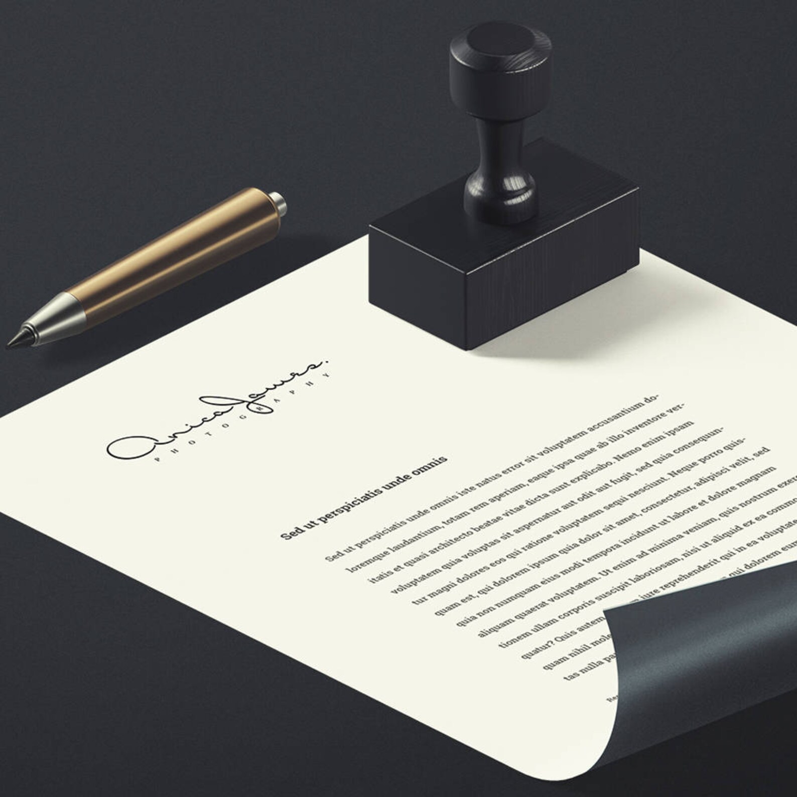 Script Logo Design Calligraphy Logo Signature Logo Classic - Etsy